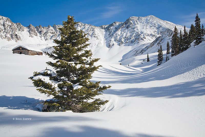 Mayflower Winter : Photo Gallery